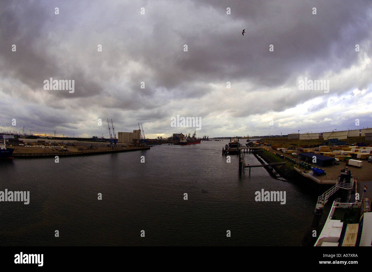 pride of rotterdam, horizontal colour color travel, tourism ferry ...