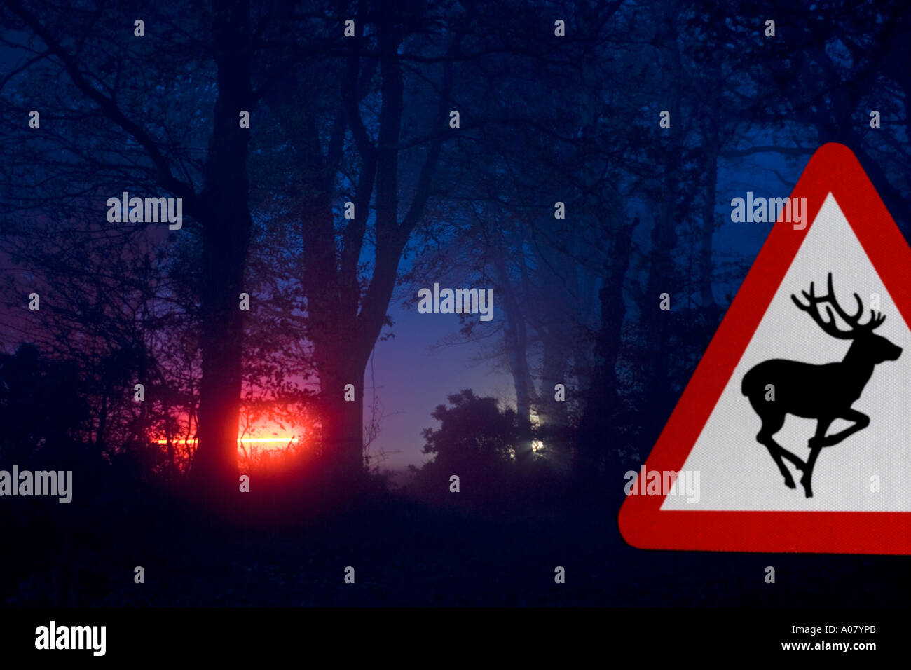 Deer Warning Sign on Country Road at Dusk Stock Photo - Alamy