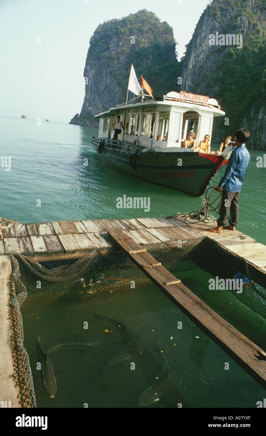 Halong Bay Fish Farm Vietnam Stock Photo - Alamy