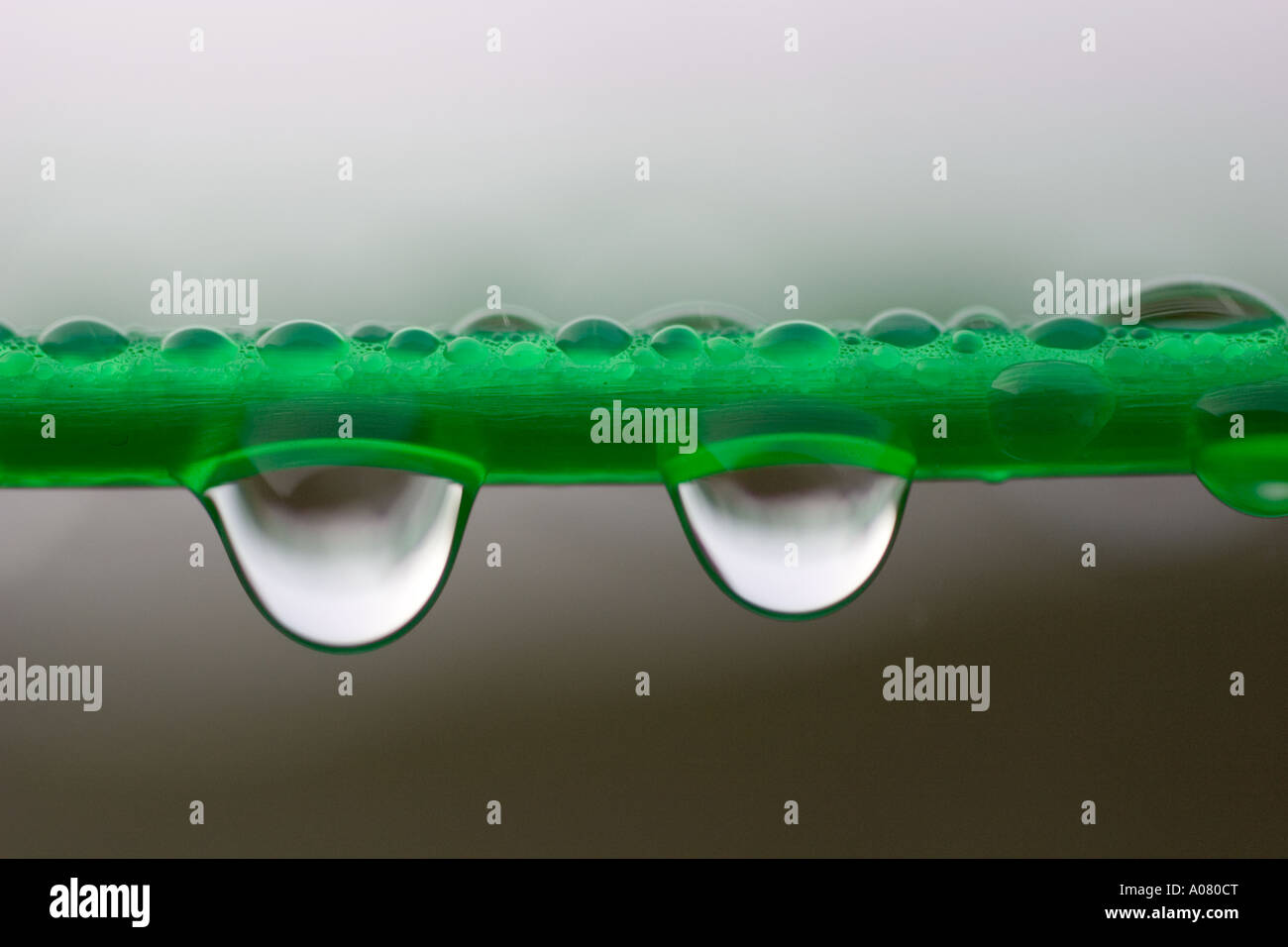 Raindrops hanging from washing line Stock Photo - Alamy