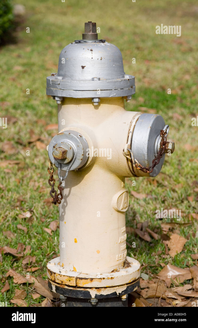 Fire hydrant in grass Stock Photo - Alamy