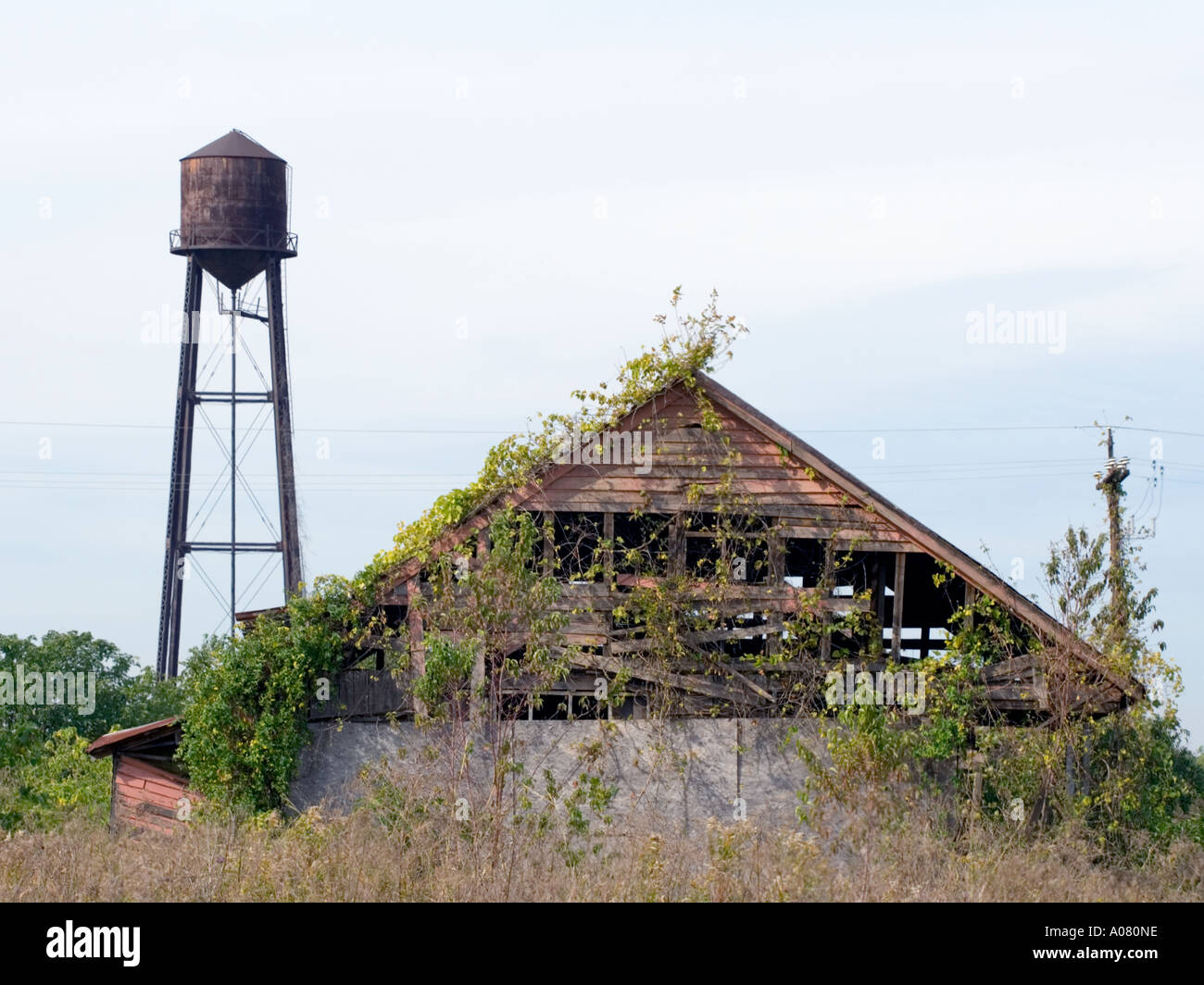 Old barn and watertower overgrown Stock Photo - Alamy