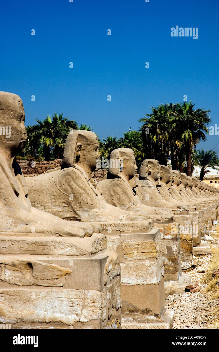 Luxor Temple, Statues Stock Photo - Alamy