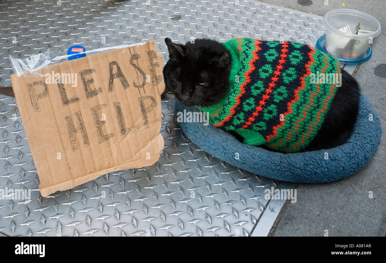 Homelessness america hi-res stock photography and images - Alamy