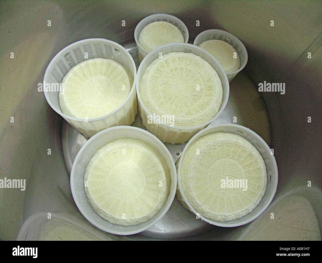 Making ricotta cheese in Sicily Italy Stock Photo - Alamy
