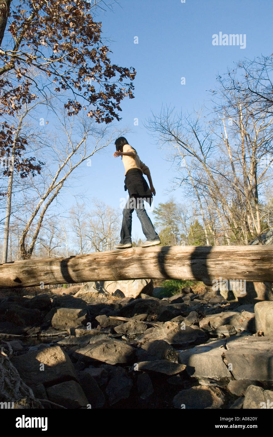 Log bridge Billy Goat Trail Potomac River Great Falls Chesapeake and ...