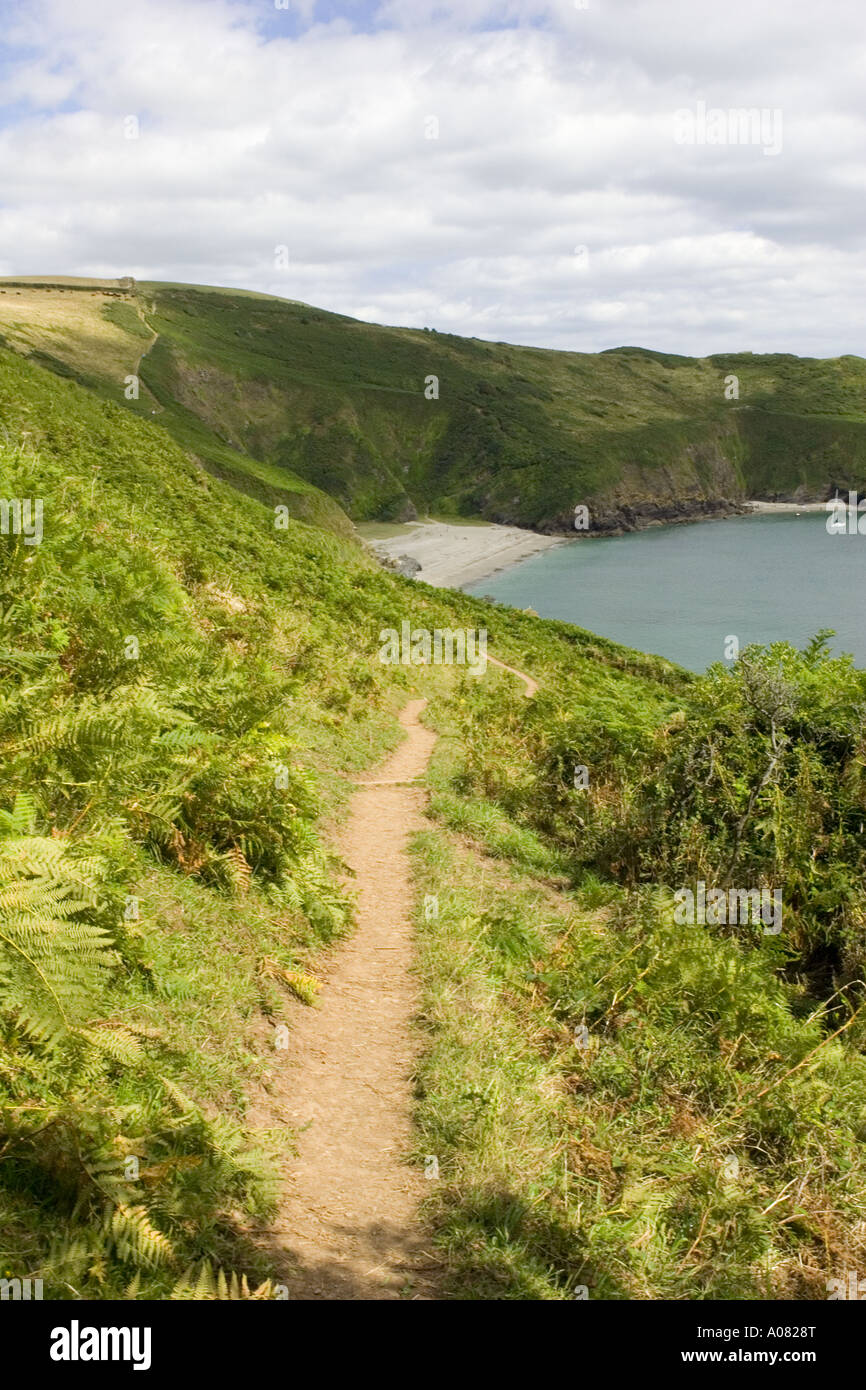 South West Coast path, Lantic Bay, Devon, UK Stock Photo - Alamy