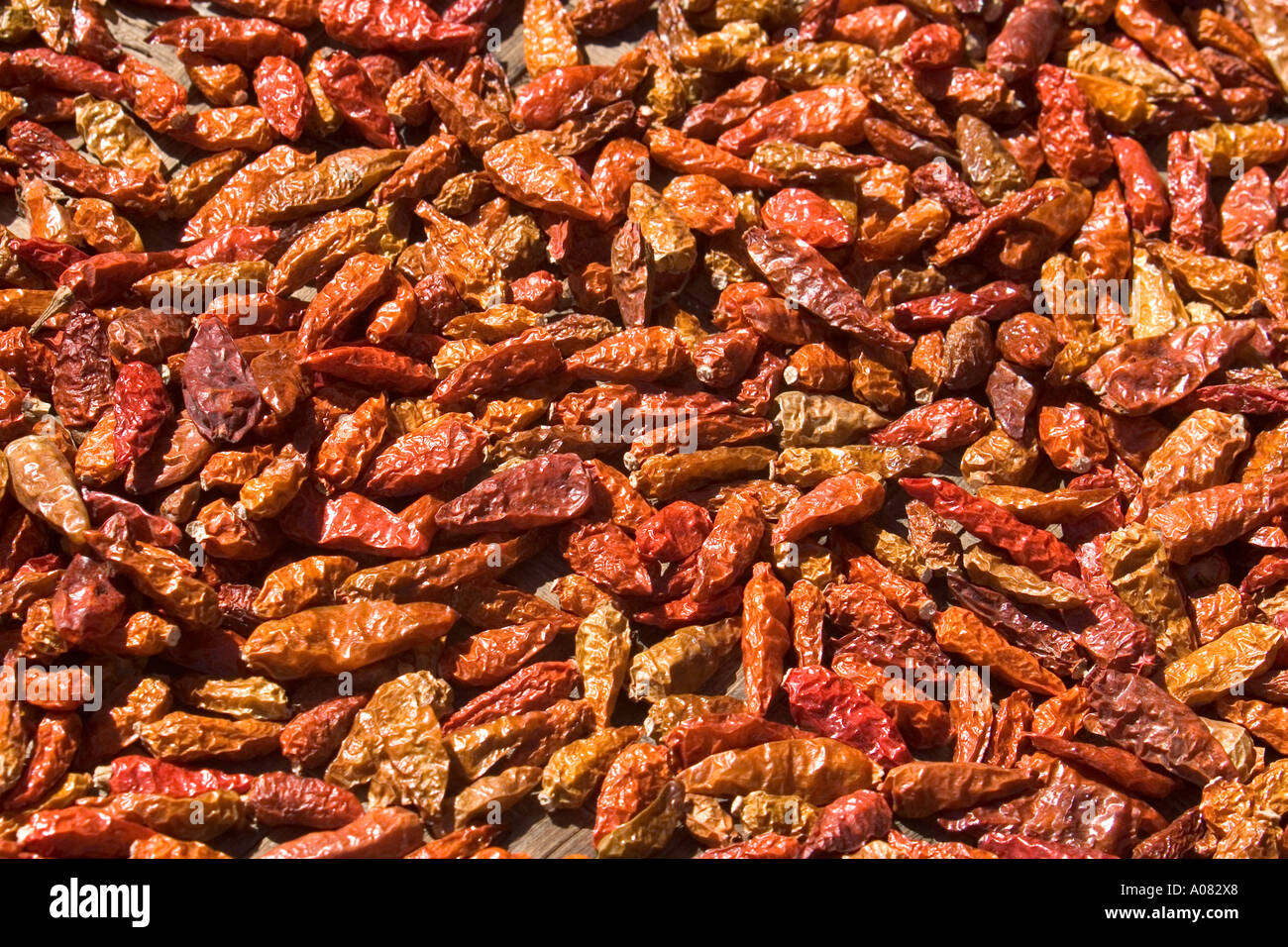 Sun Dried Chili Stock Photo - Alamy