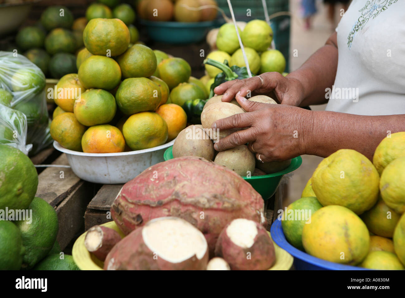 Fruit seller, Oxkutzcab market, Yucatan pensinsula, Mexico Stock Photo ...
