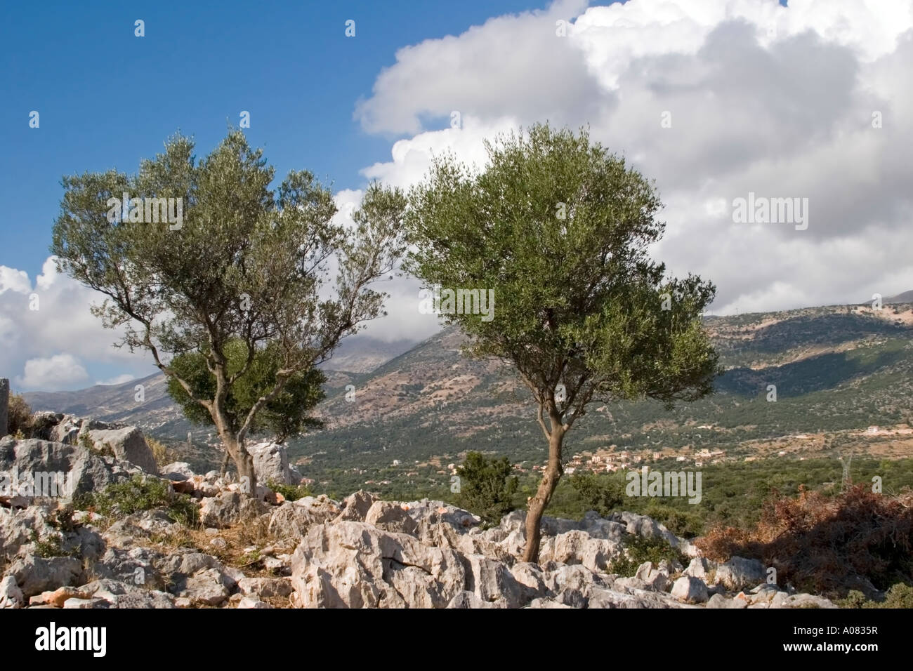 Ancient krani hi-res stock photography and images - Alamy