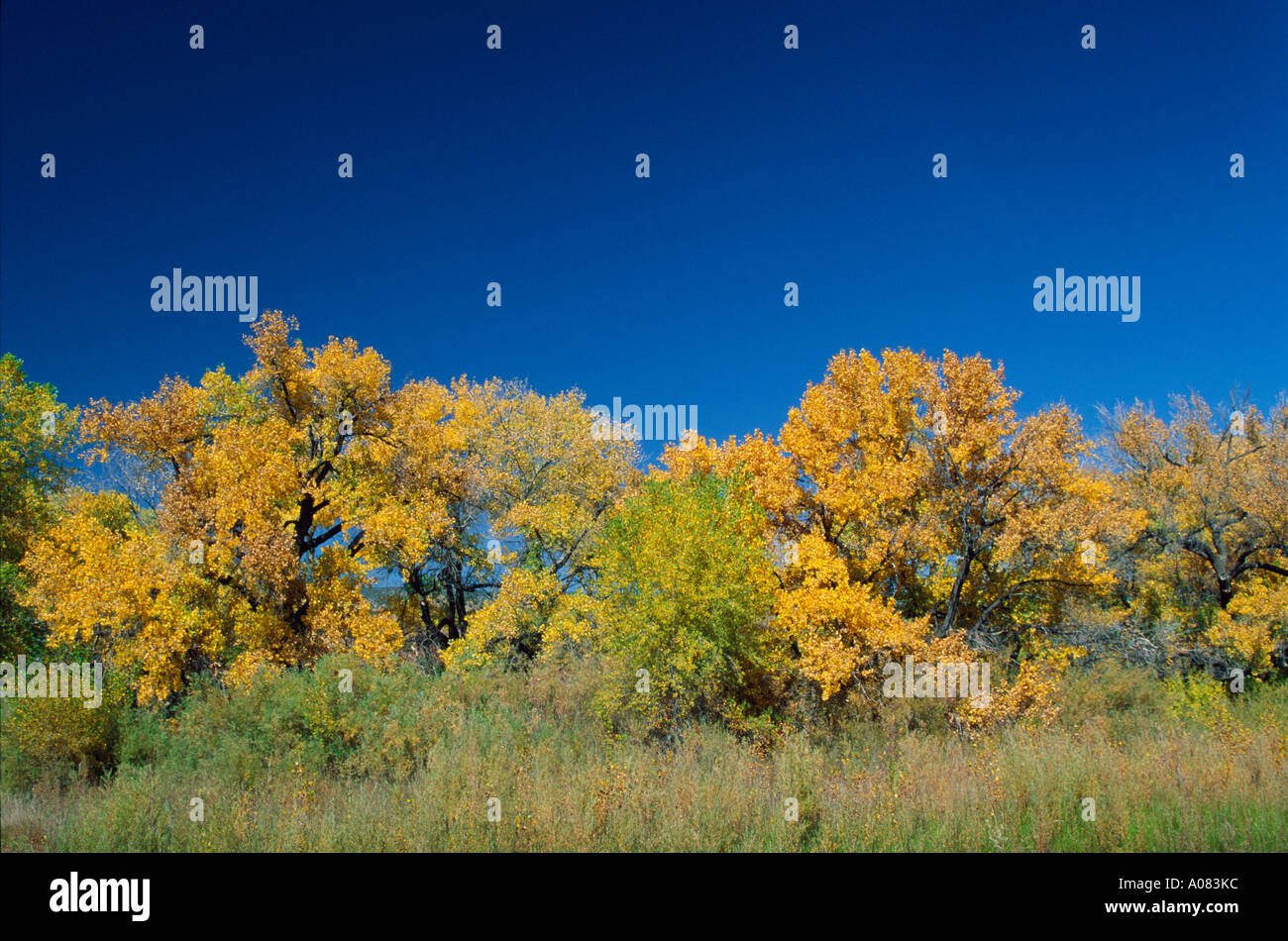 Fall color near santa fe hi-res stock photography and images - Alamy