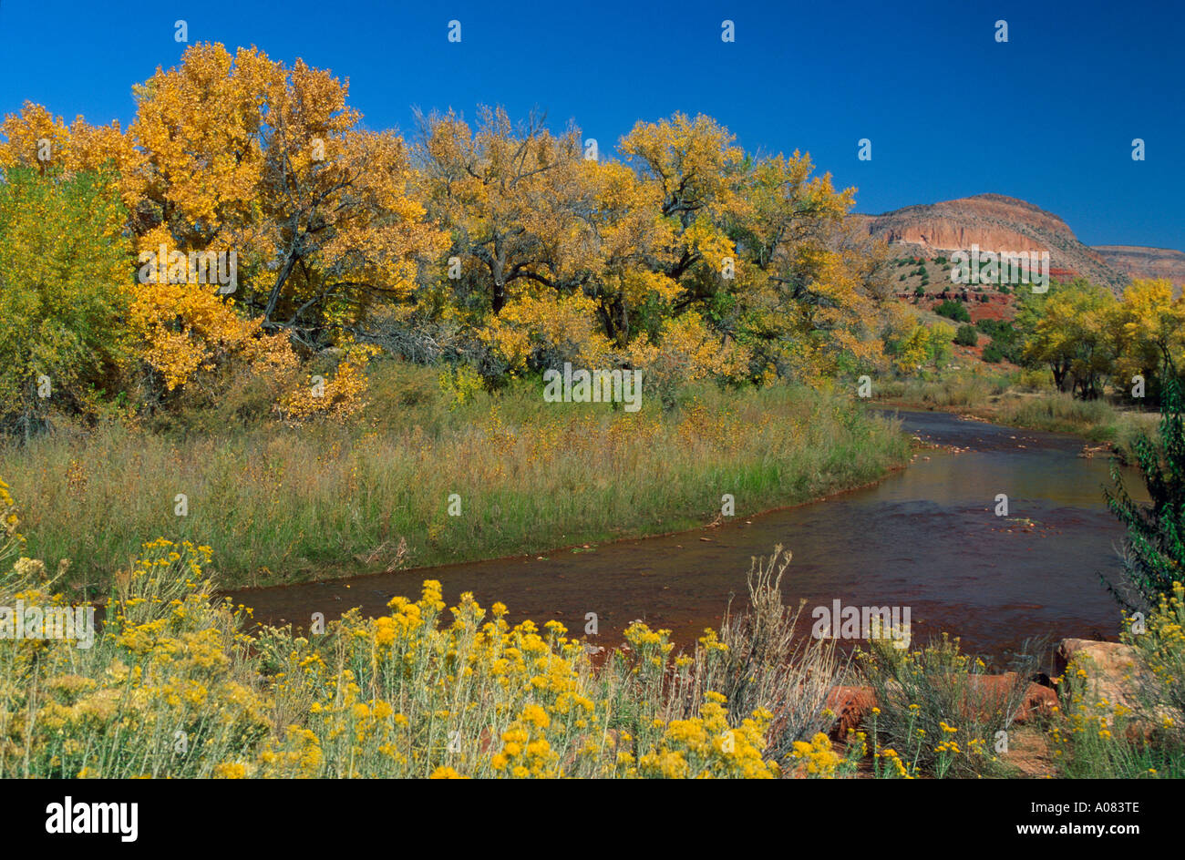 Fall color near santa fe hi-res stock photography and images - Alamy