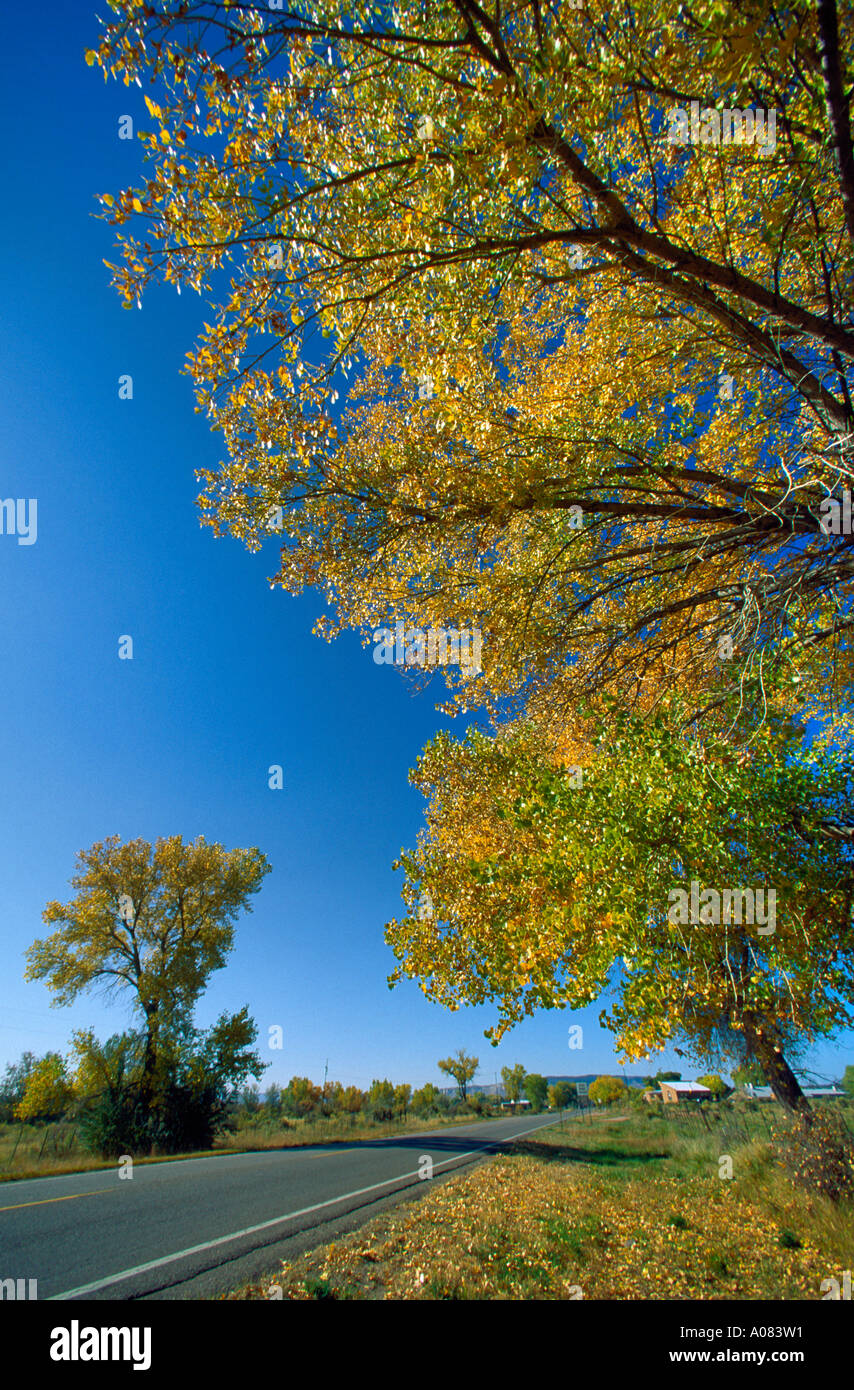 Fall color near santa fe hi-res stock photography and images - Alamy