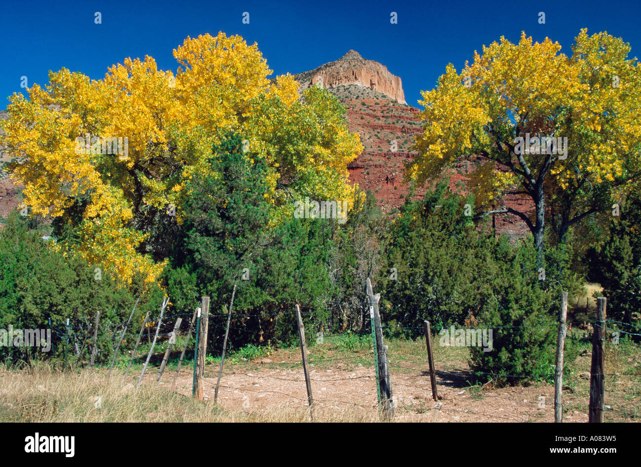 Fall color near santa fe hi-res stock photography and images - Alamy