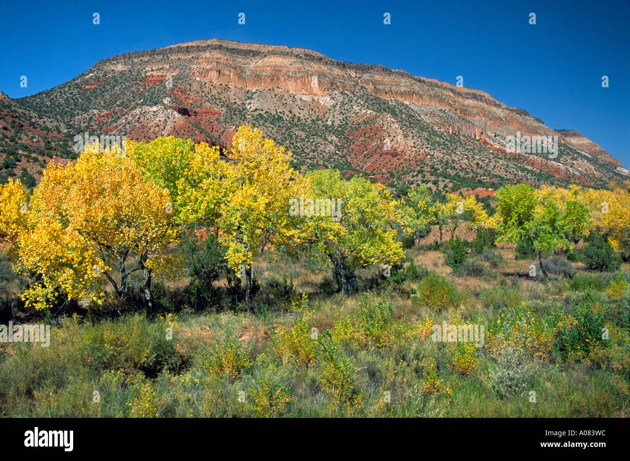 Fall color near santa fe hi-res stock photography and images - Alamy