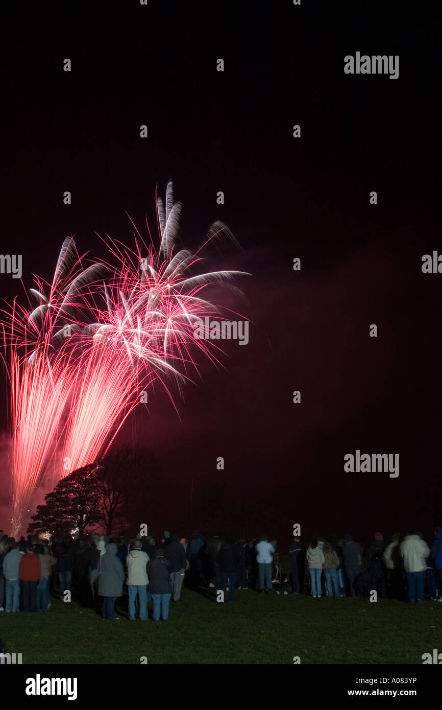Fireworks Display at Roundhay Park Leeds Stock Photo - Alamy