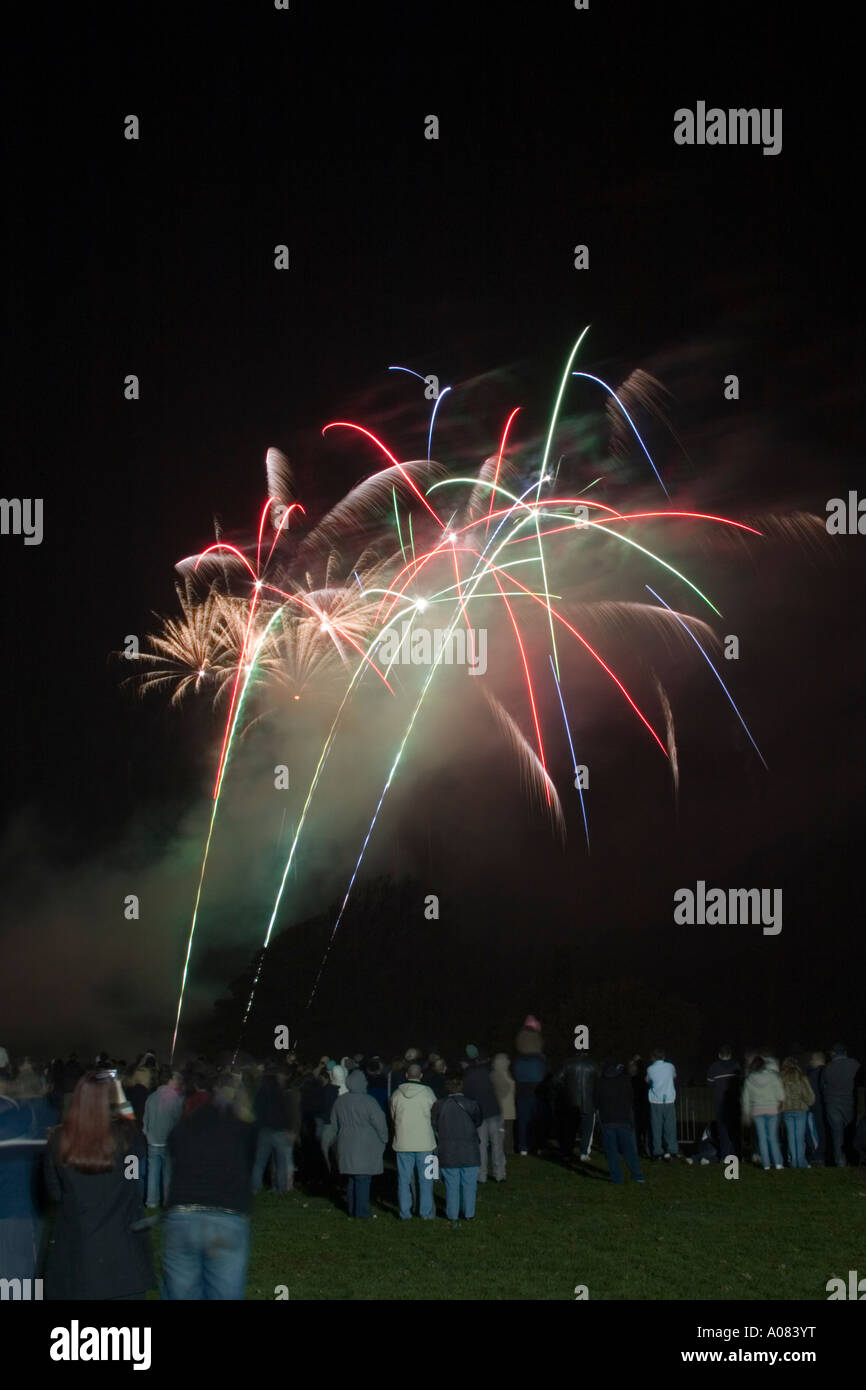 Fireworks Display at Roundhay Park Leeds Stock Photo - Alamy