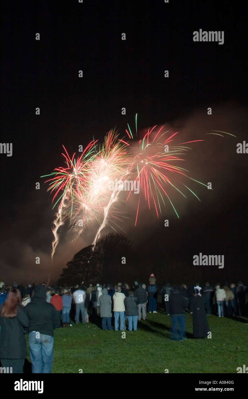 Fireworks Display at Roundhay Park Leeds Stock Photo - Alamy