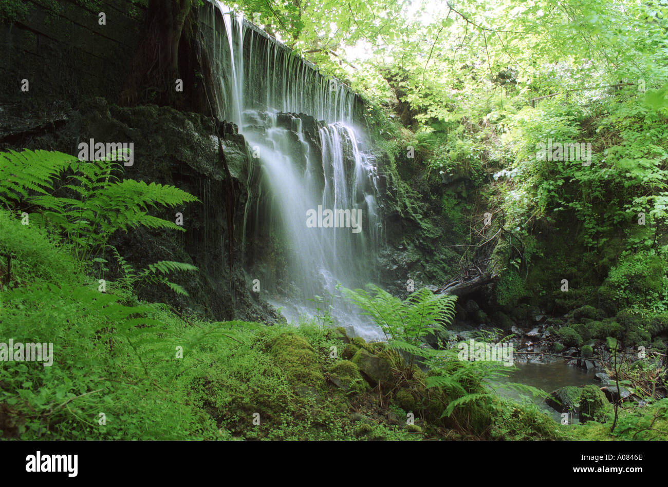 Finlaystone Country Park Scotland Stock Photo - Alamy