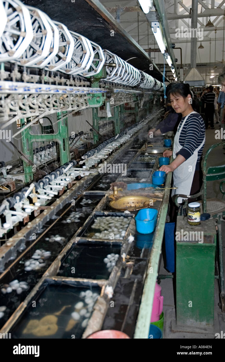 The female Chinese operator checks that cocoons are not running out of ...