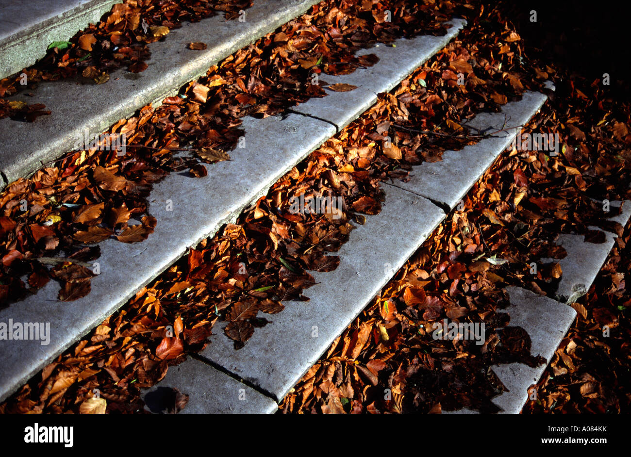 Sweep of steps hi-res stock photography and images - Alamy