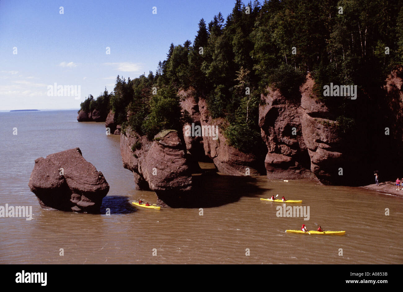 kayaking at Hopewell Rocks Stock Photo - Alamy