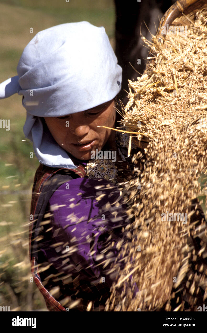 Gleaning hi-res stock photography and images - Alamy