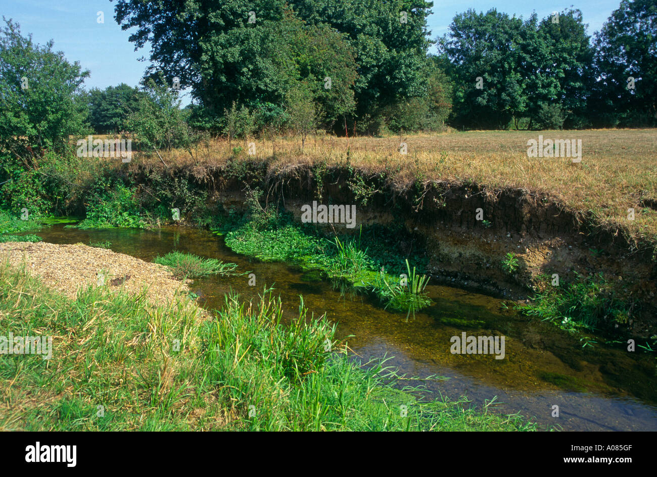 River cliff and slip off slope on a small meander River Deben Suffolk ...