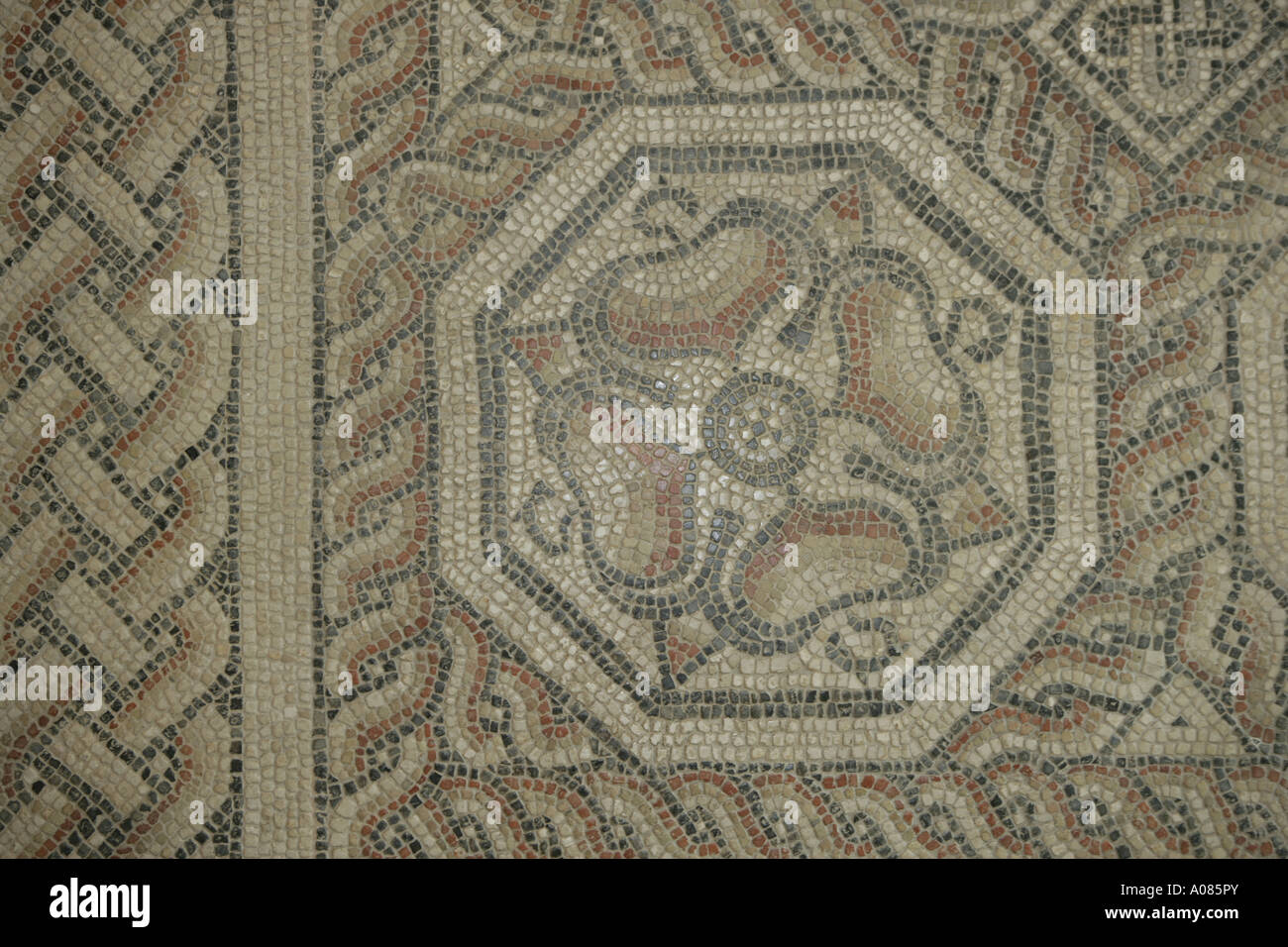 Roman pattern hi-res stock photography and images - Alamy