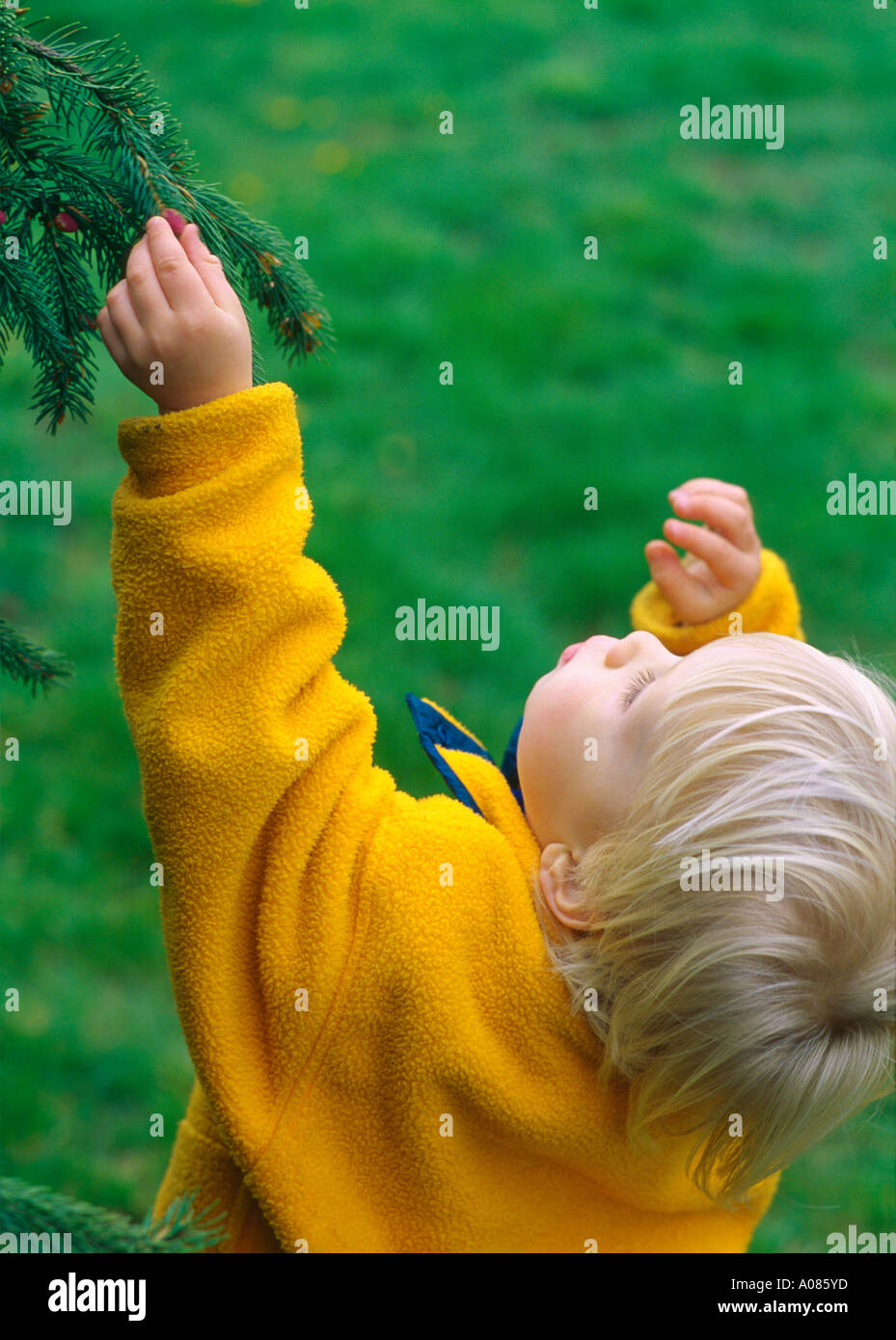 Attractive blond years old boy hi-res stock photography and images - Alamy