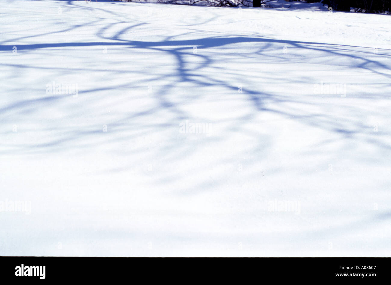 Illusion of dancing hi-res stock photography and images - Alamy