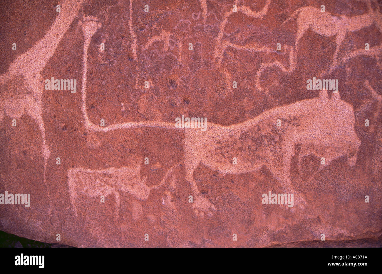 Ancient rockpainting lion Spitzkoppe National Park Namibia animals ...