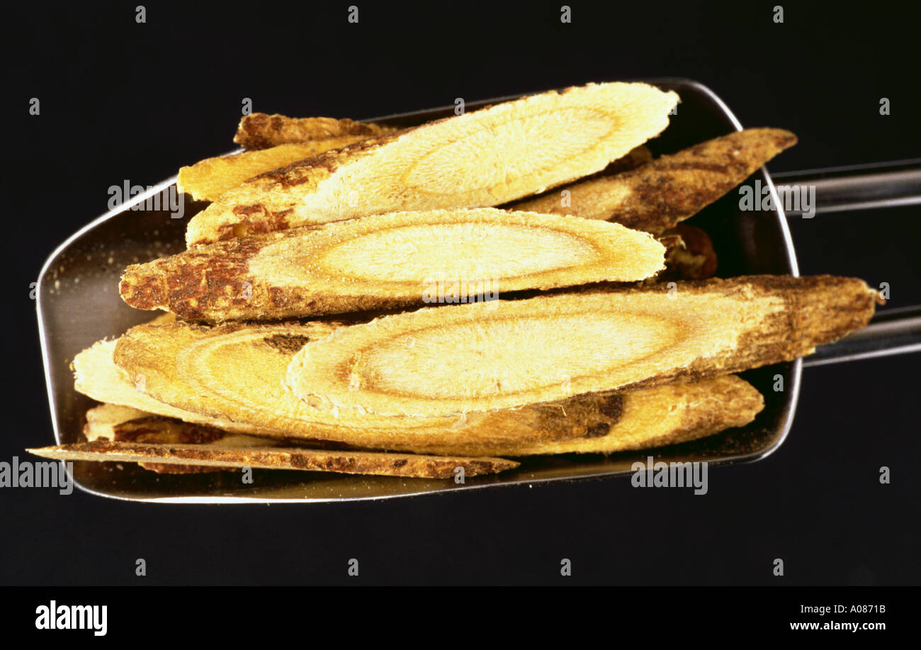 Medicinal plant and spice Glycyrrhiza glabra Liquorice dry root slices ...