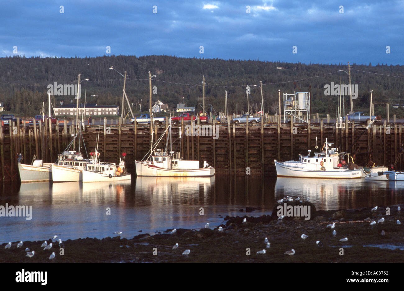North head wharf grand manan island hi-res stock photography and images - Alamy