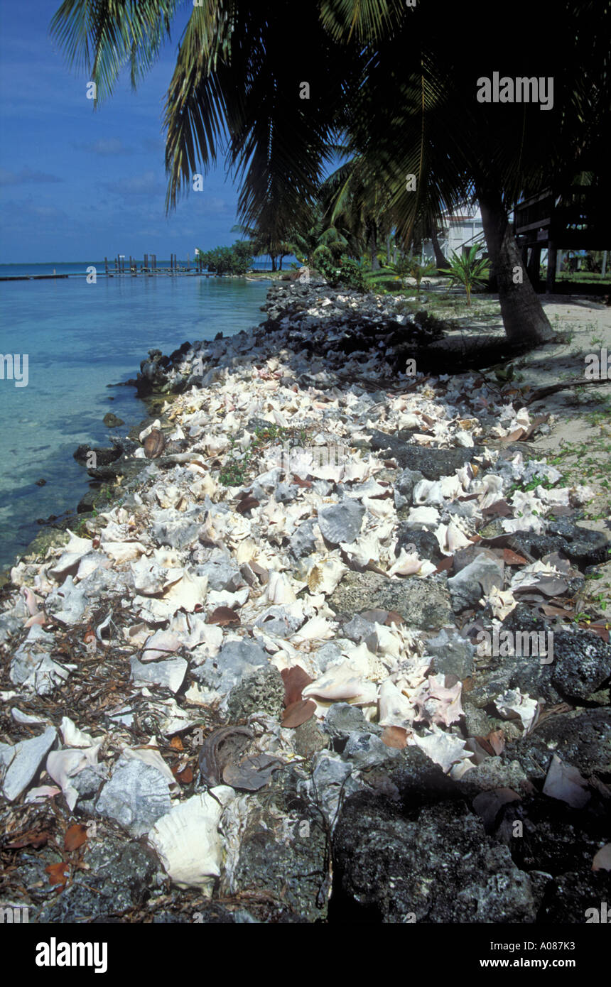 South water cay belize hi-res stock photography and images - Alamy