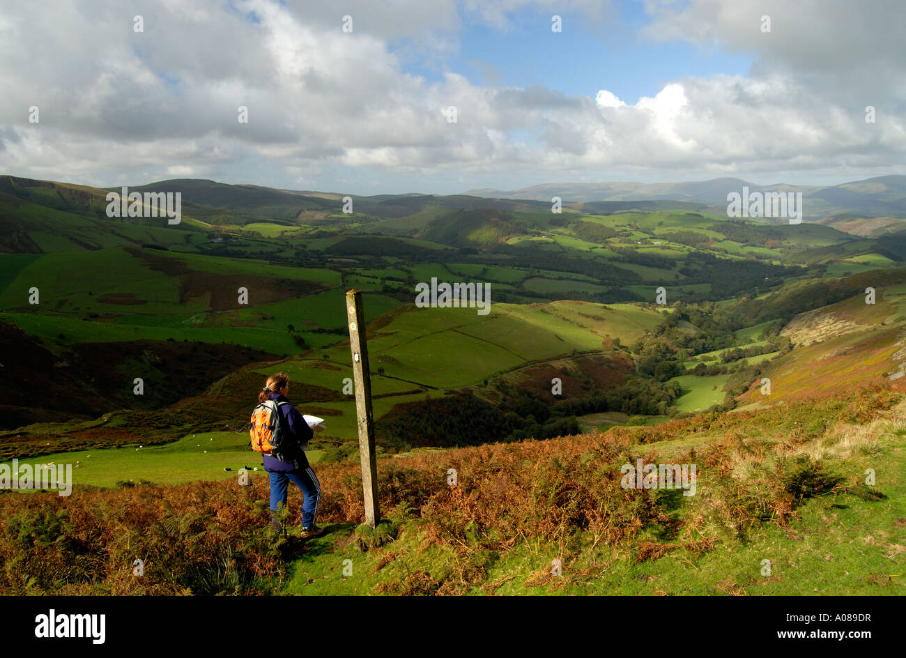 Map Reading Walking Glyndwr s Way between Machynlleth and Staylittle ...
