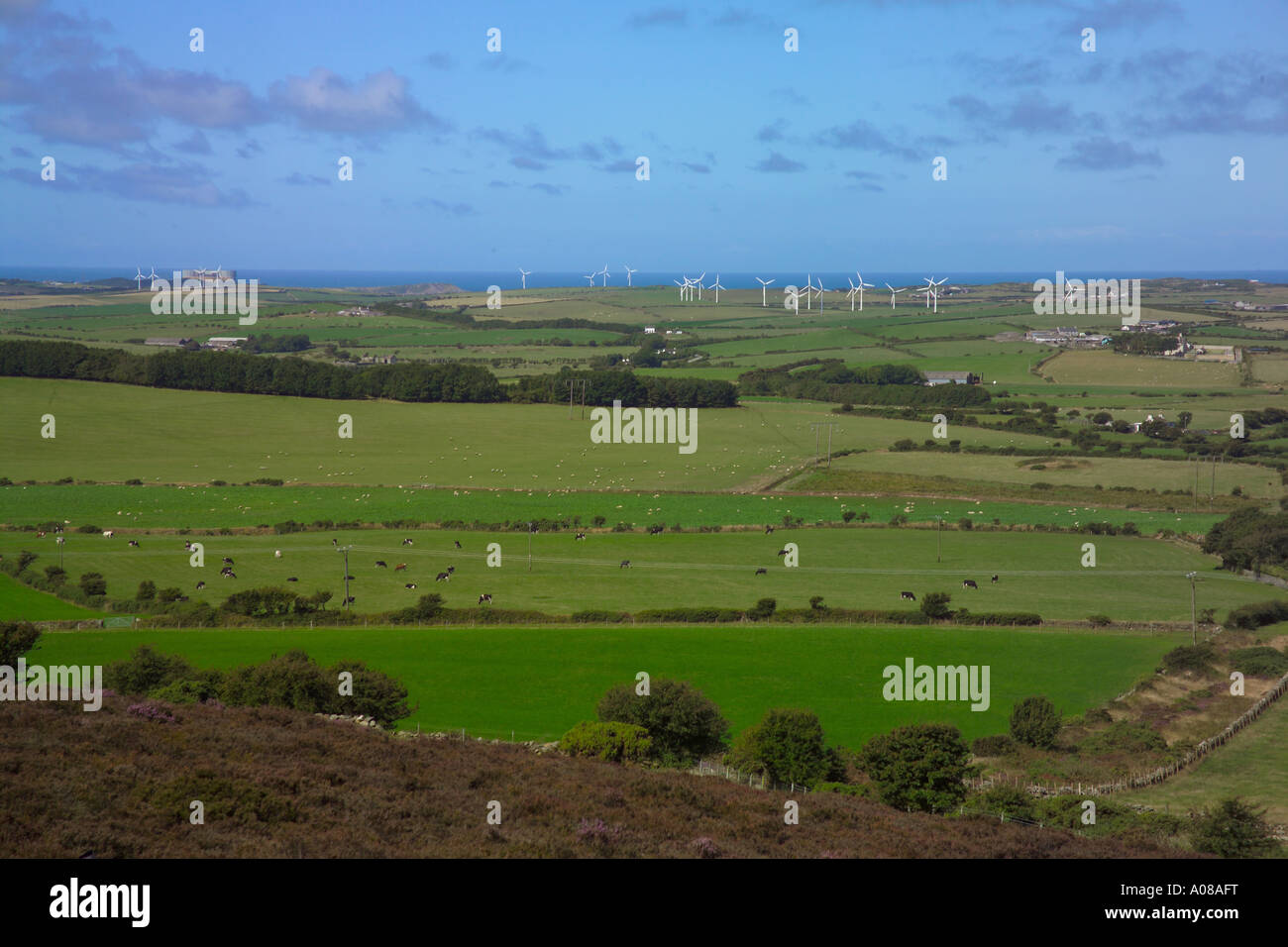 Wind Turbines Anglesey North West Wales Stock Photo - Alamy