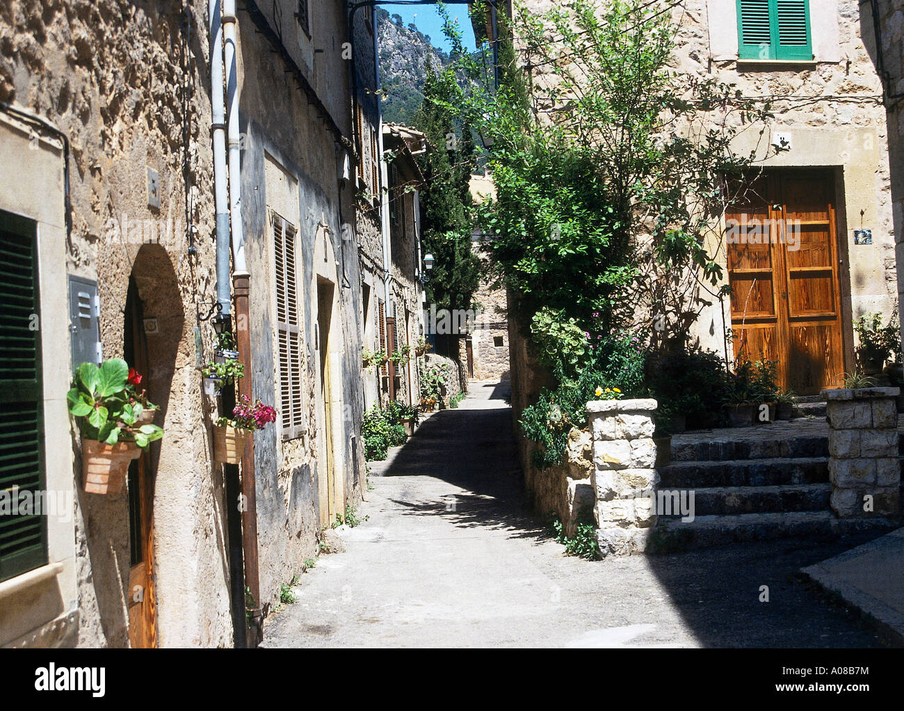 Flower filled pots flank an arched entrance in a row of 18th 19th c ...