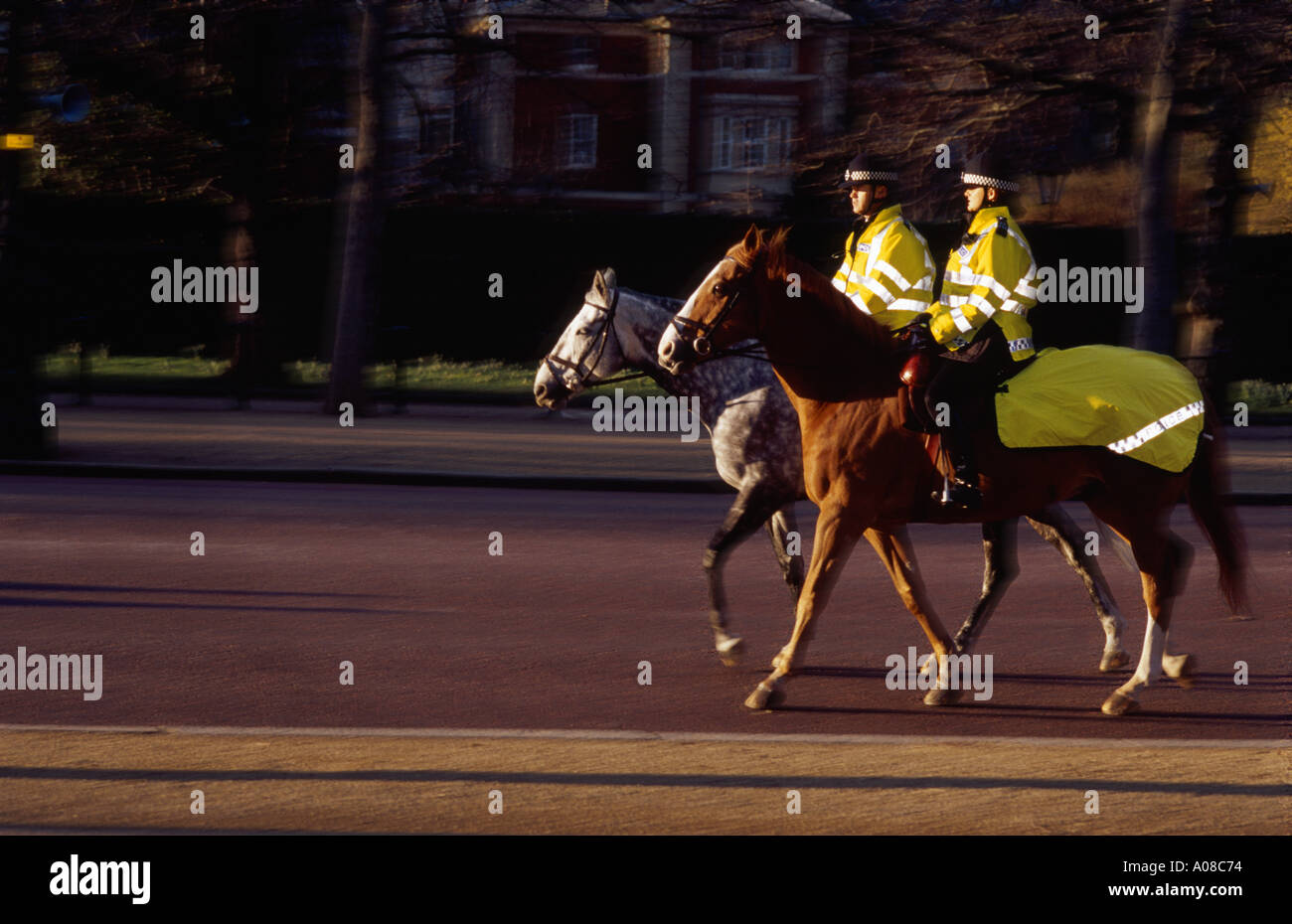 Metropolitan mounted police London U K Stock Photo - Alamy