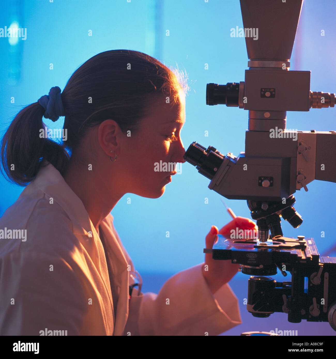 Looking into microscope silhouette hi-res stock photography and images ...