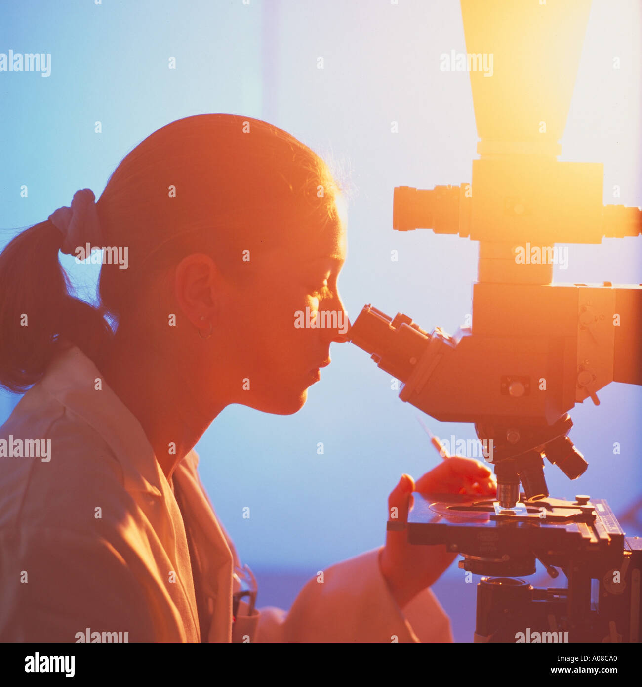 Technician at microscope Stock Photo - Alamy