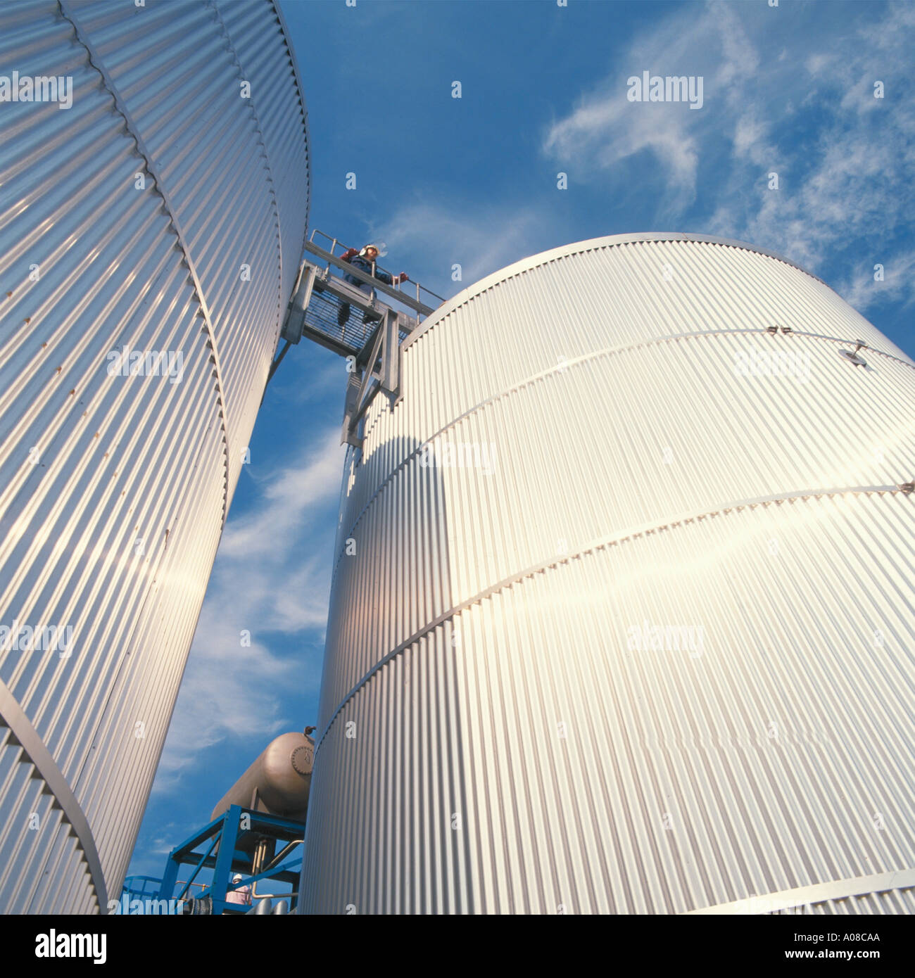 Petrochemical storage tanks Stock Photo - Alamy