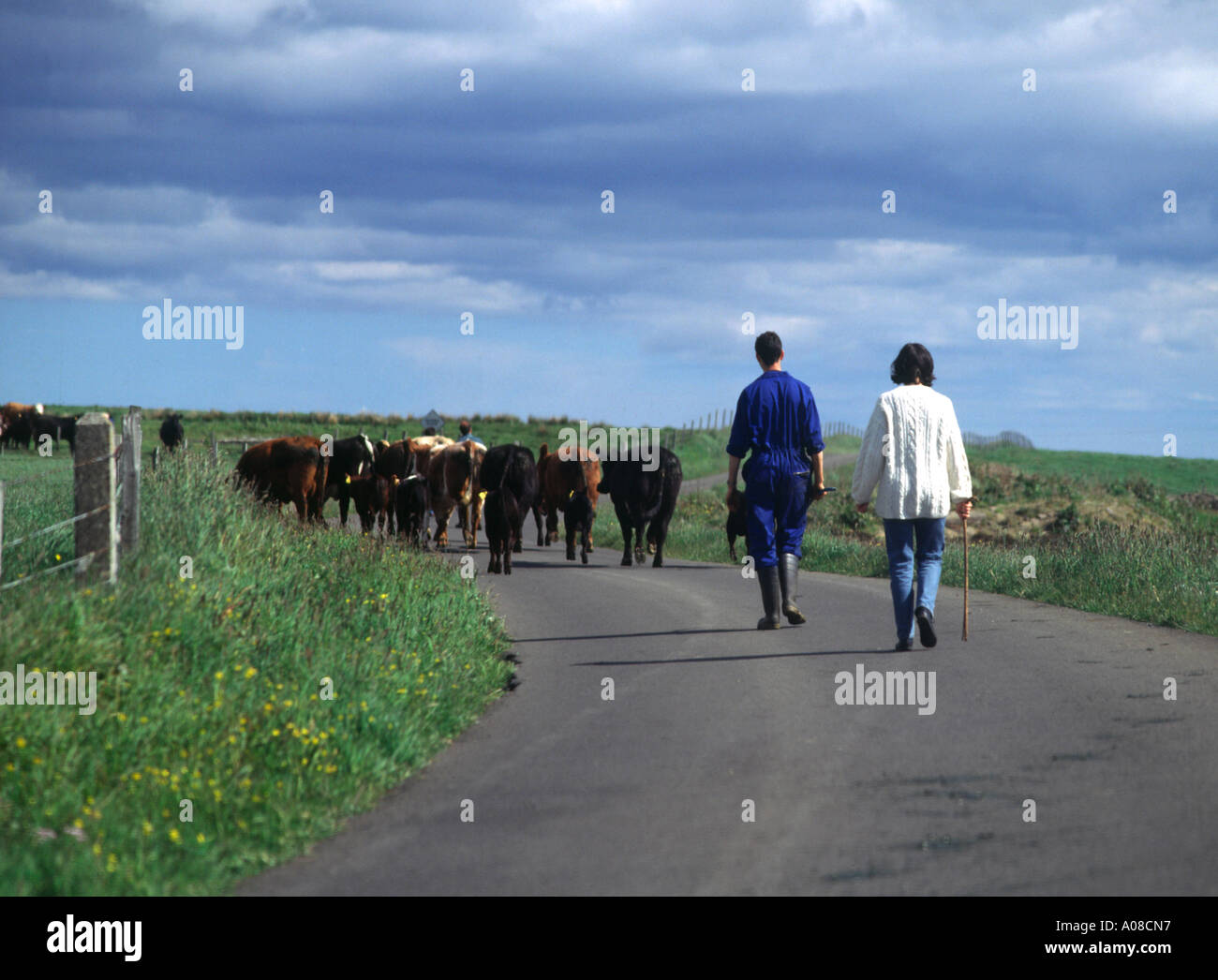 Scottish farmer hi-res stock photography and images - Alamy