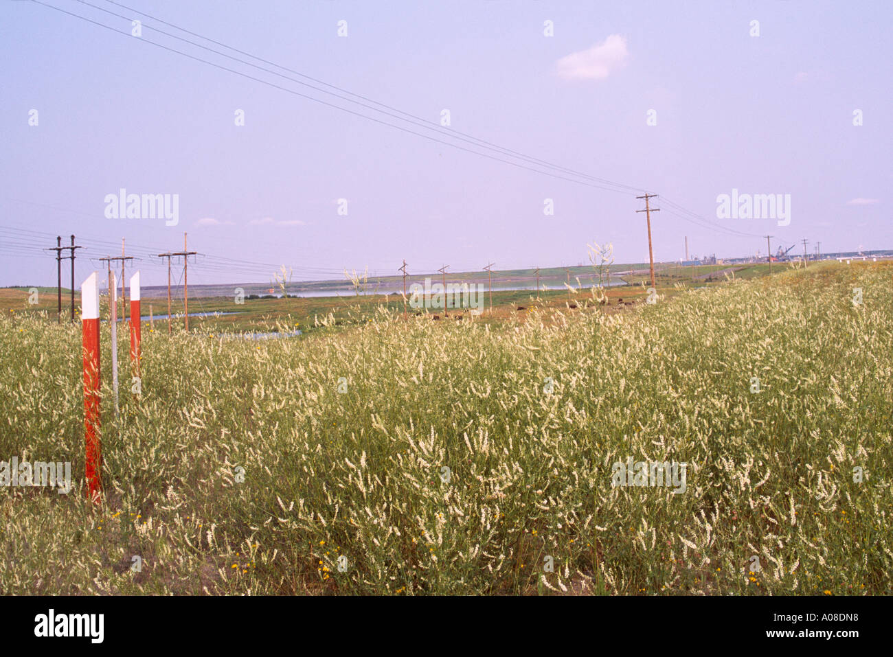 Land restoration and reclamation hi-res stock photography and images ...