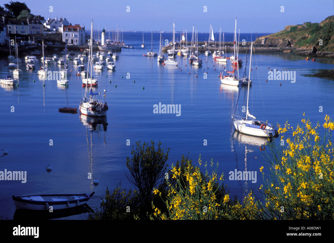 Harbour, Sauzon, Belle-Ile-en-Mer, France Stock Photo - Alamy
