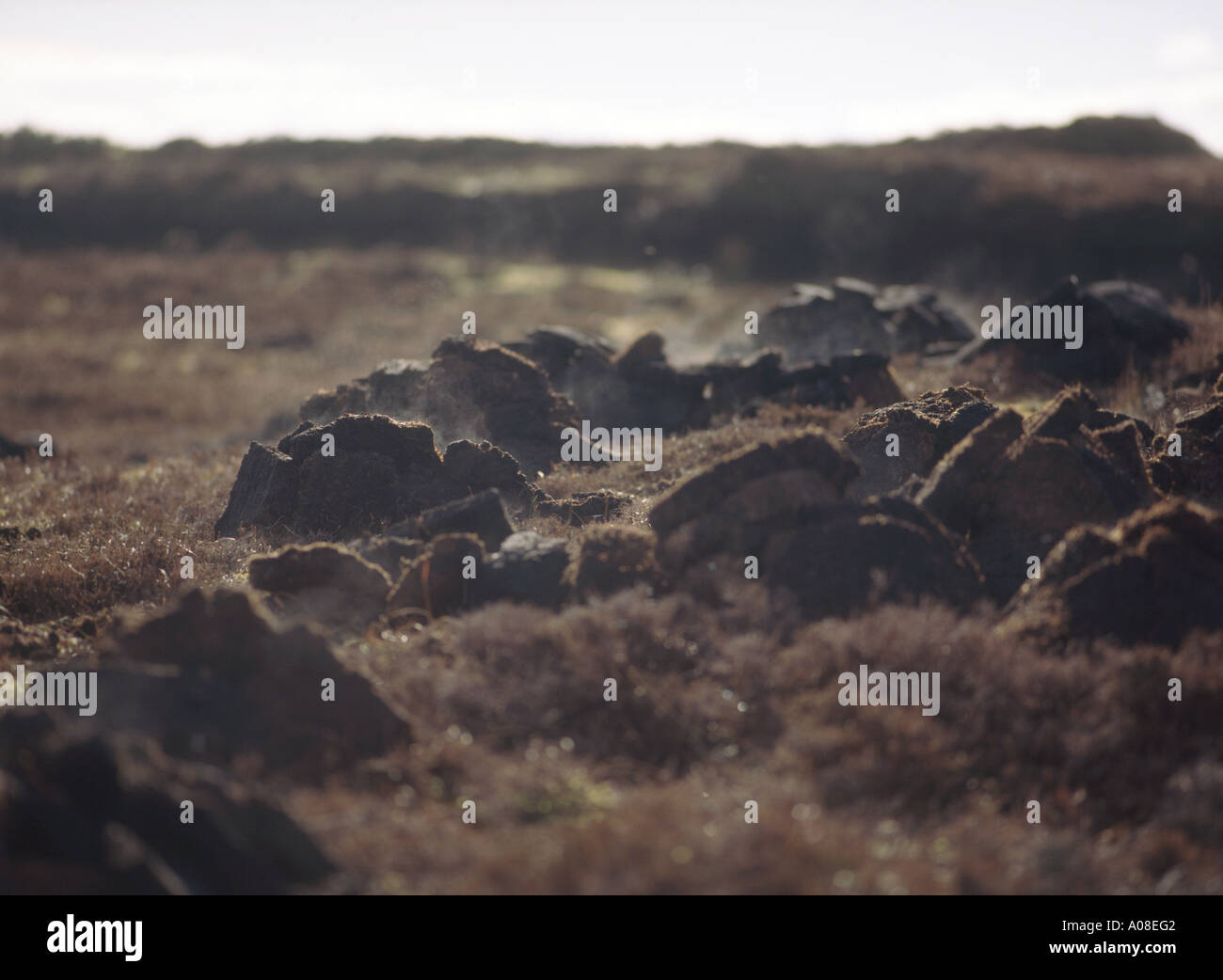 Peat marshes and bogs hi-res stock photography and images - Alamy