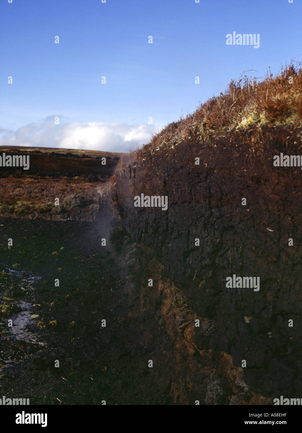 Peat marshes and bogs hi-res stock photography and images - Alamy