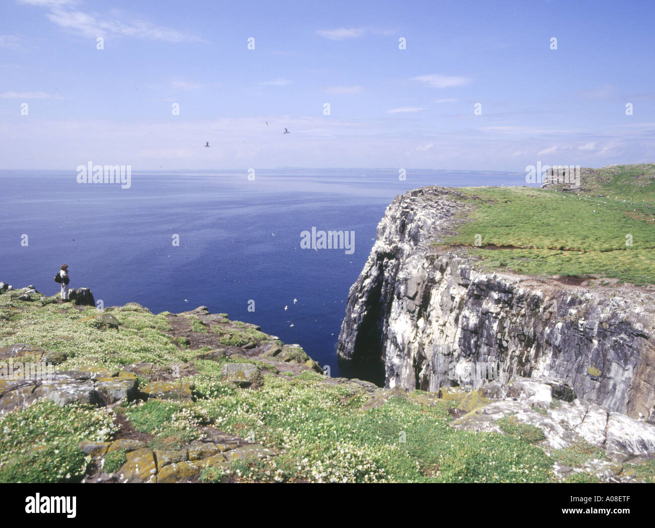 dh Nature reserve ISLE OF MAY FIFE Bird watcher bird colonies people ...