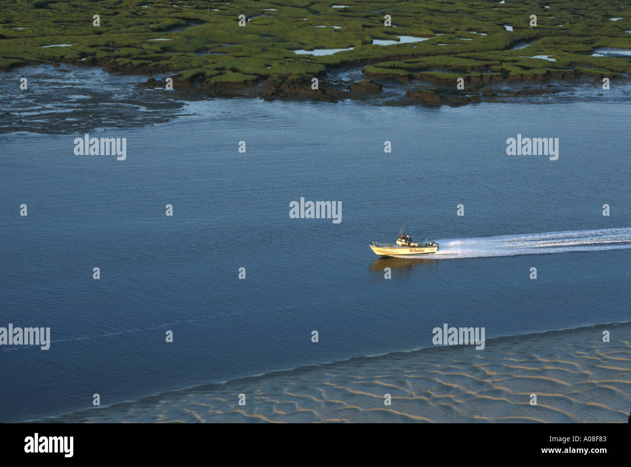 A boat running up a river Stock Photo - Alamy