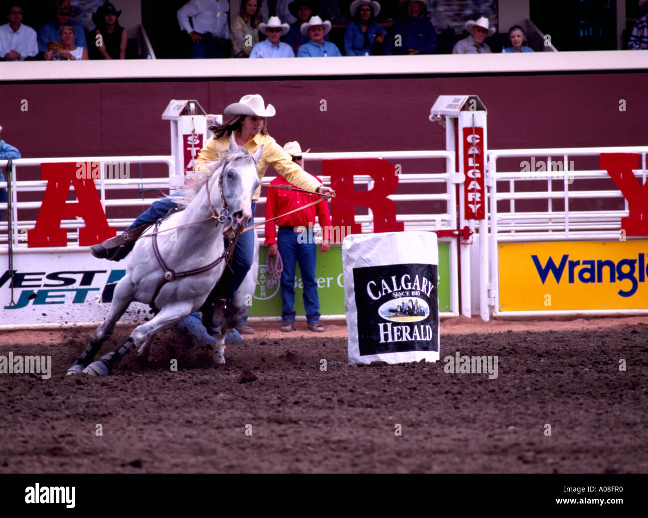 Calgary Stampede, Alberta, Canada - Rodeo Cowgirl riding Horse in ...